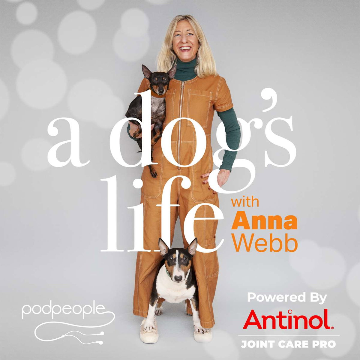 Morag Sutherland of the Raw Feeding Vet Society - A Dog's Life with ...