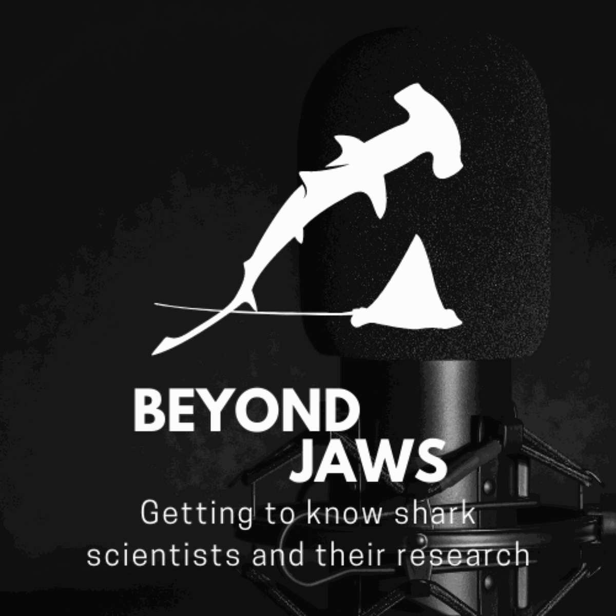 He Couldn't Become a Doctor… So He Built a Shark Conservation Movement ...