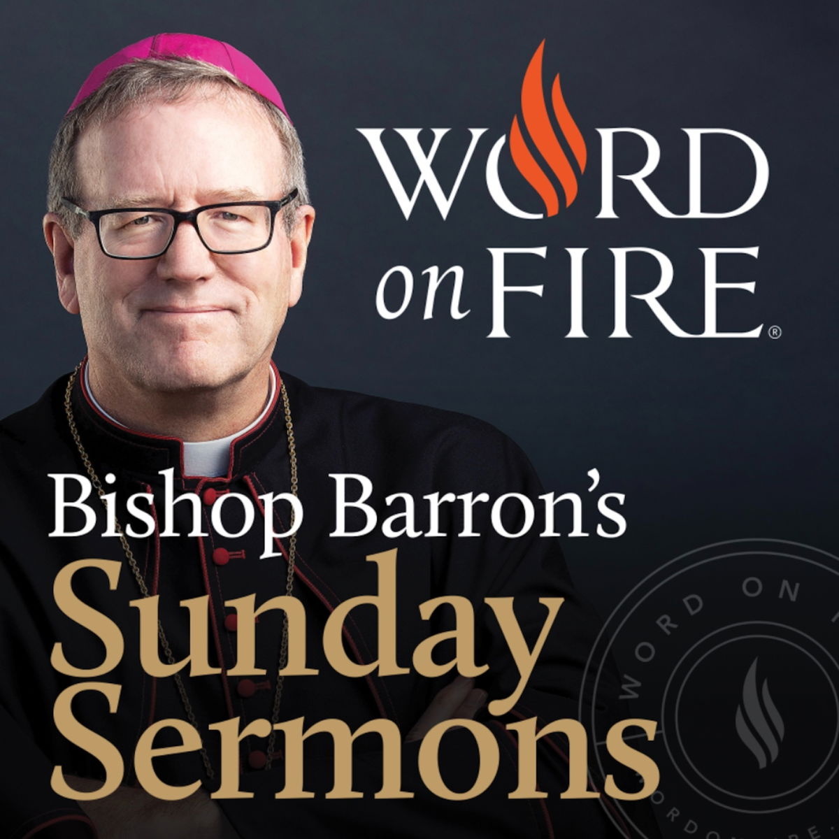 The Answer to Your Deepest Longing - Bishop Barron’s Sunday Sermons ...