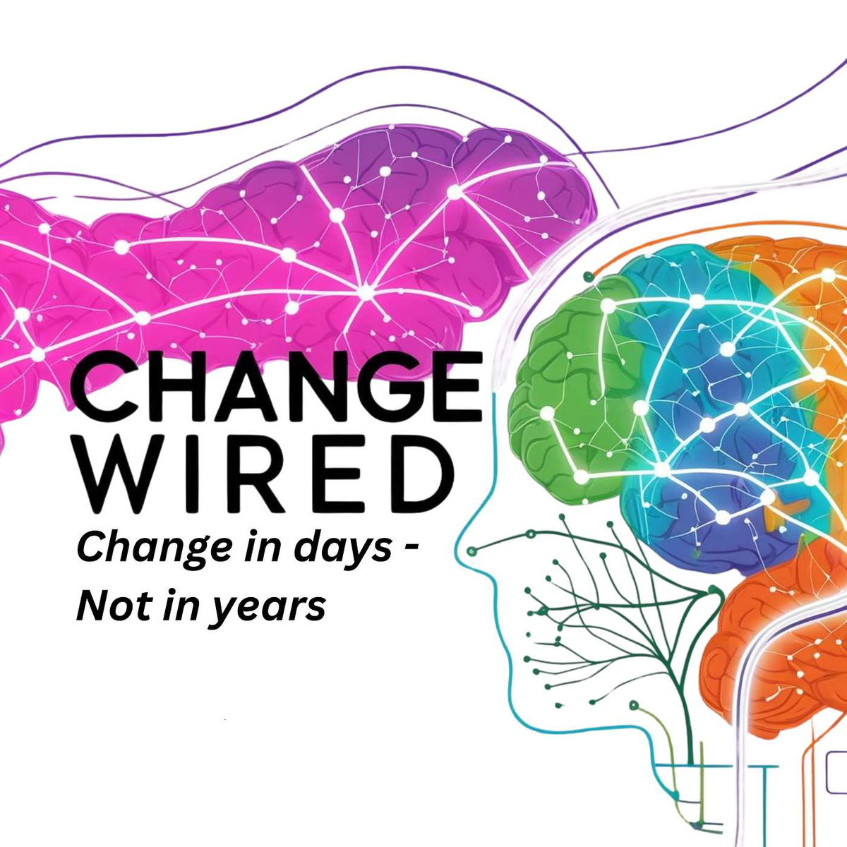 How to travel light towards big, hard, long-term goals: leaving the ...