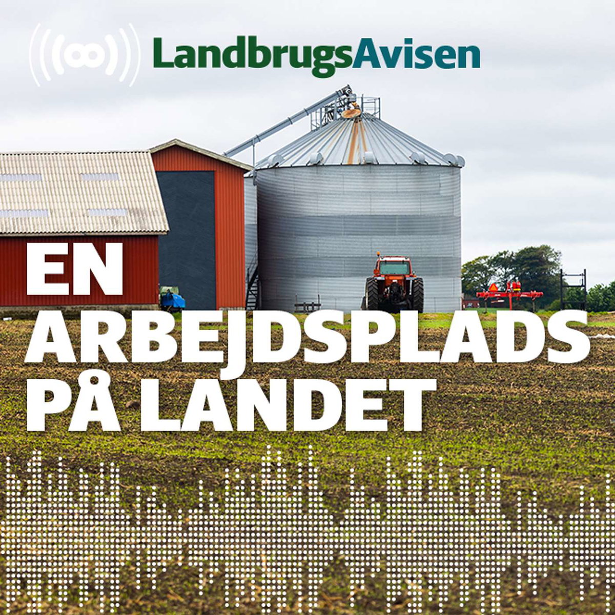 Landmand tjener én million kroner ved at have 100 køer færre i stalden ...