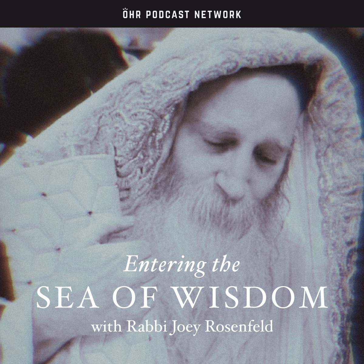 Entering the Sea of Wisdom with Rabbi Joey Rosenfeld | Lyssna här ...