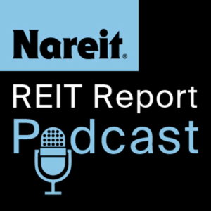 IREI’s Geoffrey Dohrmann Says Investor Capital Remains Cautious, But ...