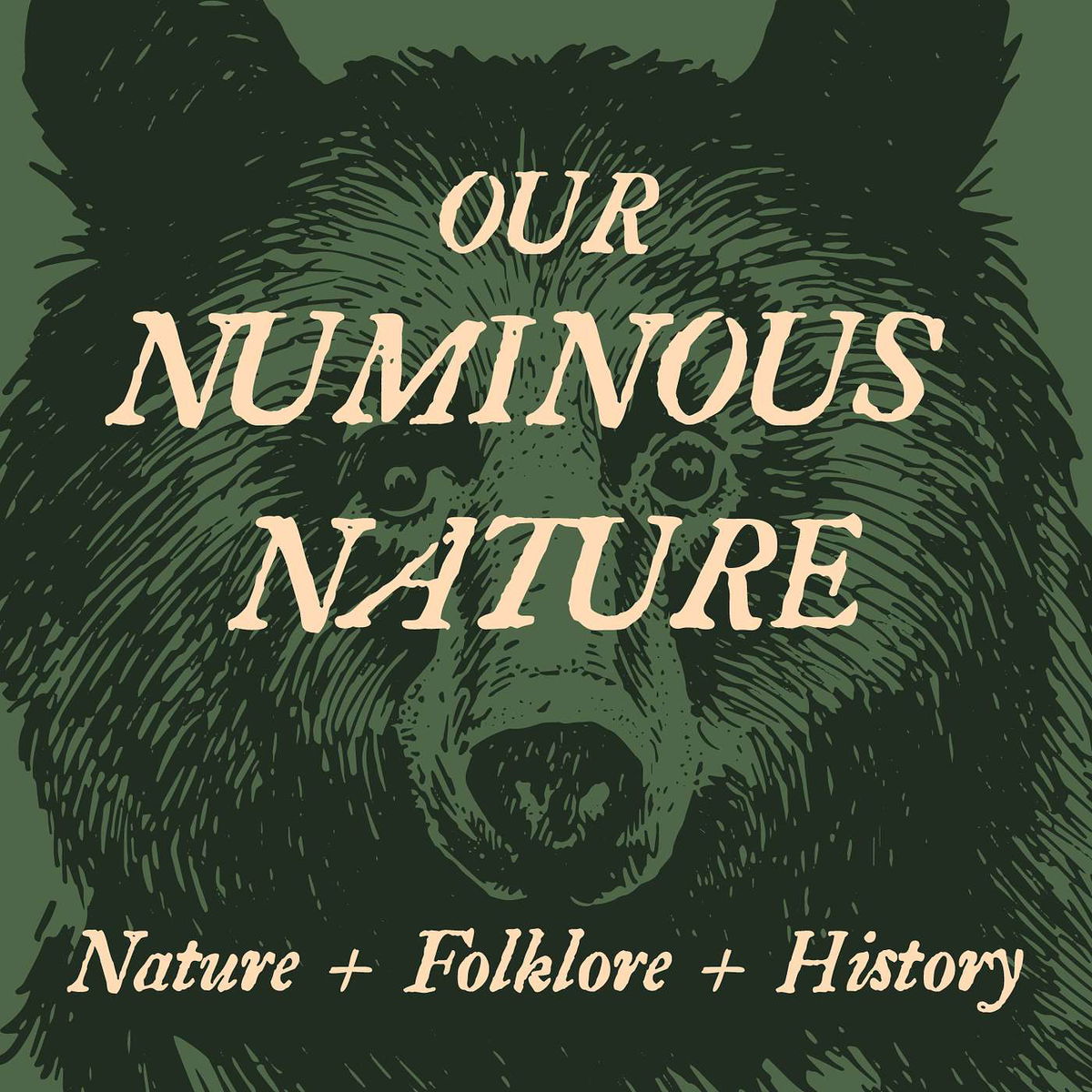 BRITISH FERRETING: RABBITS, POACHERS & A BOX OF FERRETS | Ferreter ...