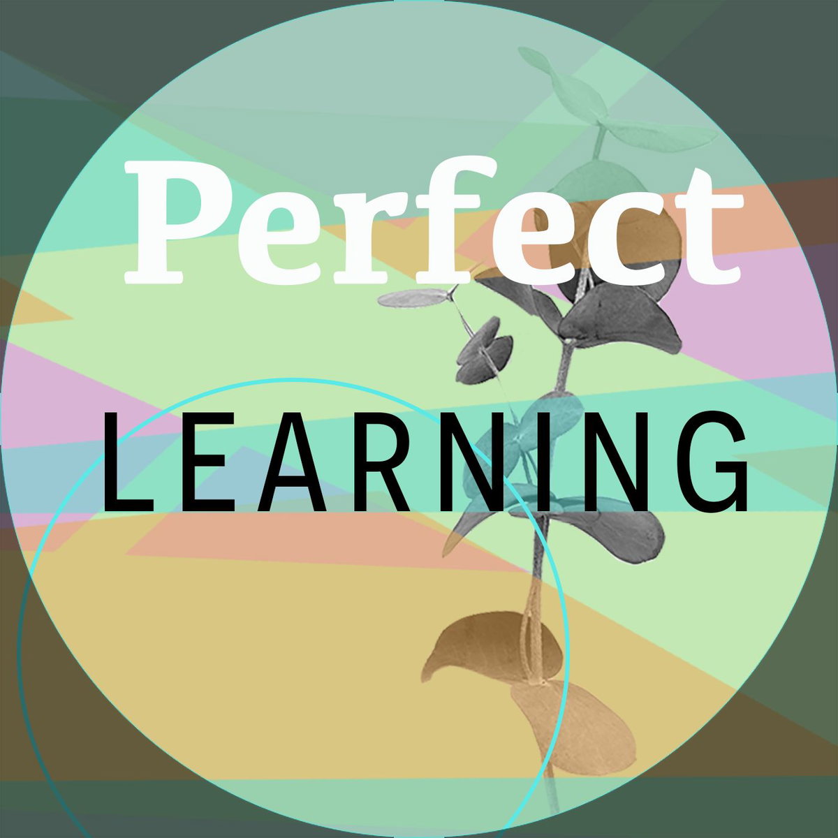 Perfect Learning - The L&D podcast | Lyssna här | Poddtoppen.se