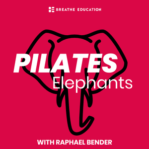 356. Are contraindications actually real? - Pilates Elephants | Lyssna ...