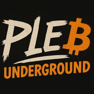 Bitcoin To 400 Million Dollars! | Guest: ANT | EP 119 - Pleb UnderGround | Lyssna här ...