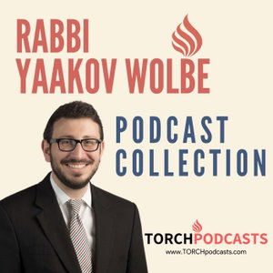 Parsha: Behaaloscha - Honeymoon Phases (5784) - Rabbi Yaakov Wolbe ...