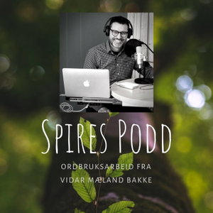 Oksygen, hydrogen og Ånd / Vidar Mæland Bakke - Spires Podd | Lyssna ...