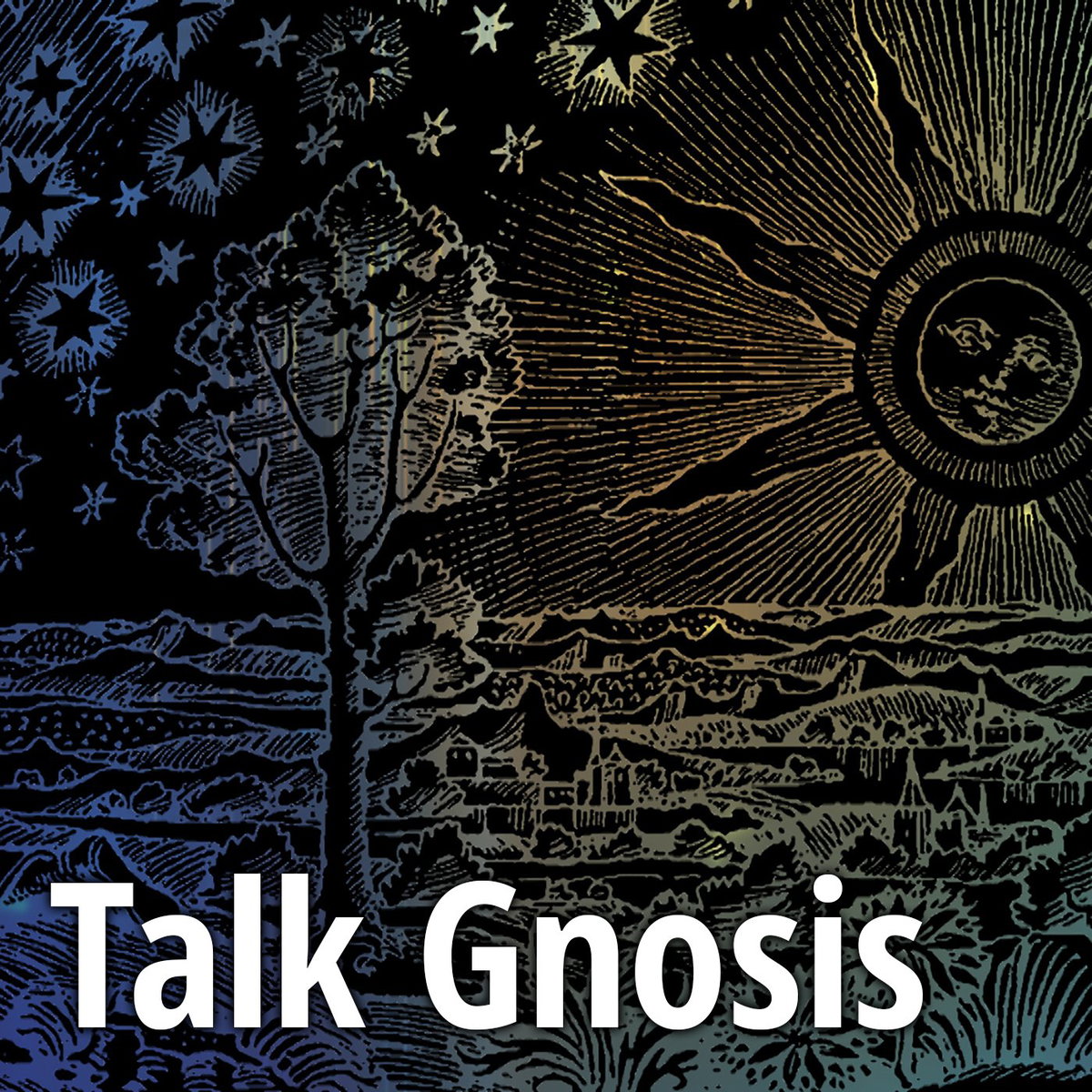 The Power of Negative Thinking w/Dr Julie Reshe - Talk Gnosis | Lyssna ...