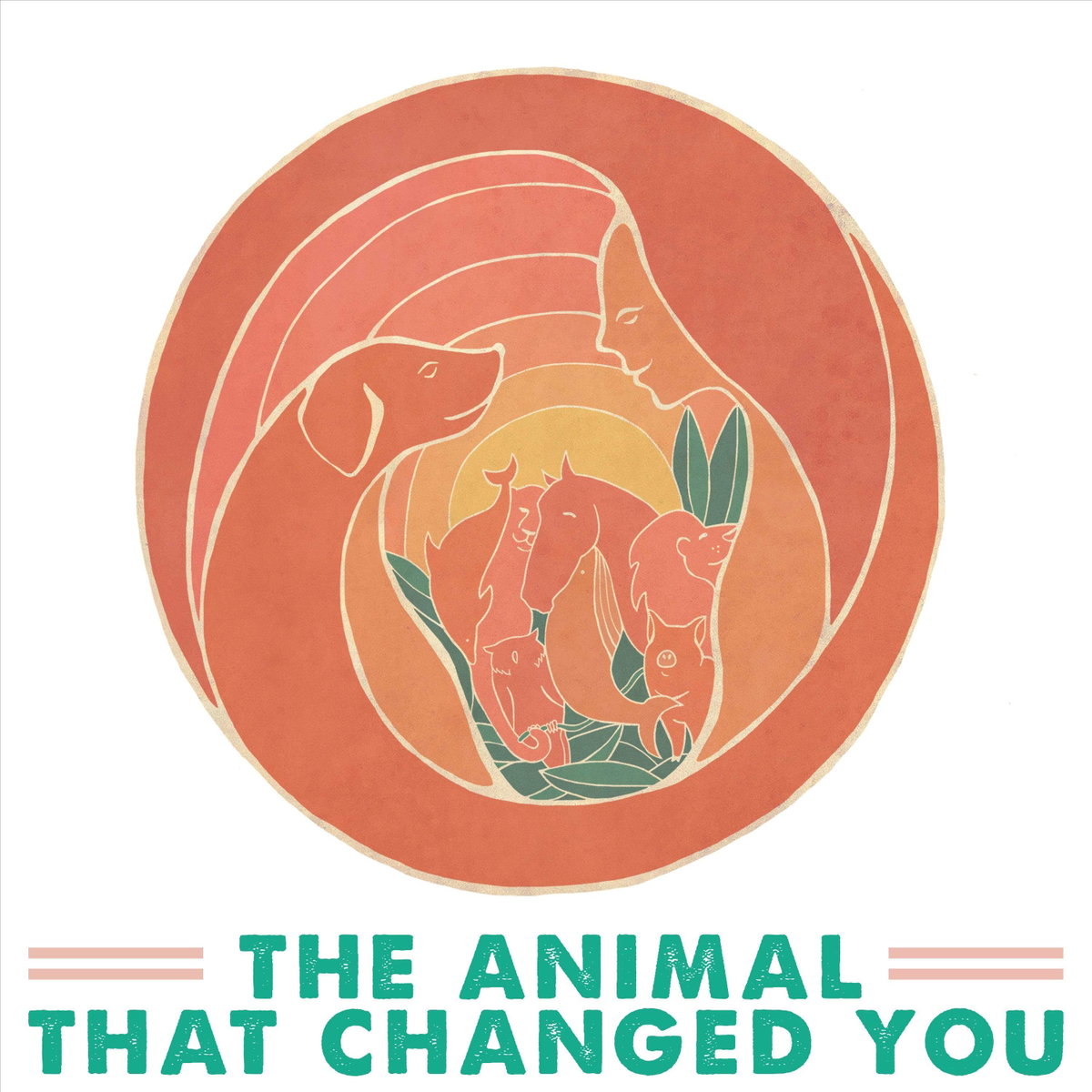 How Rescuers Handle Emotions and Upcoming Changes for The Animal That ...