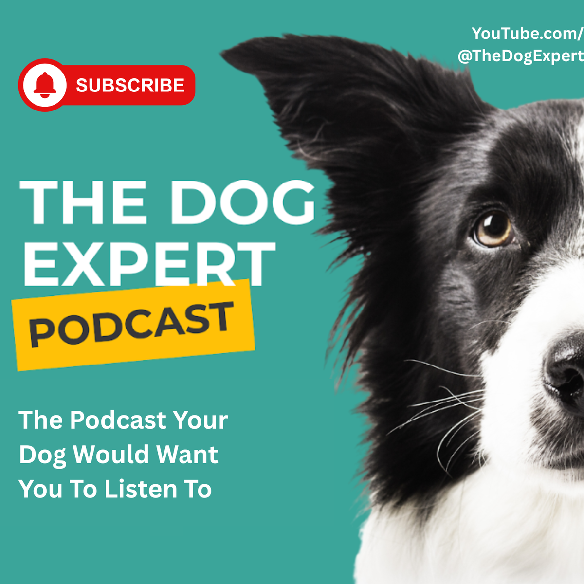 Season 3, Episode 2: The Dog Expert Podcast ”Ethics in Action” with ...