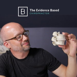 Systematic Review: Spinal Adjustments for Chronic Back and Neck Pain in ...