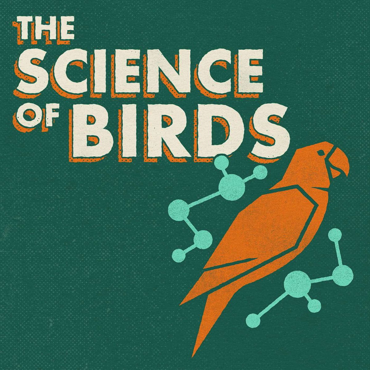 How to Identify Birds in the Field - The Science of Birds | Lyssna här ...
