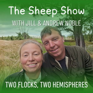 The Victorian Sheep Show 2026 - what you can expect! - The Sheep Show ...