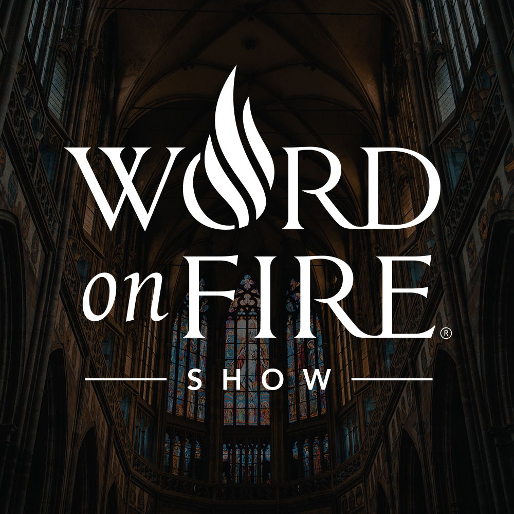 WOF 508: How to Build on Conversion Momentum - The Word on Fire Show ...