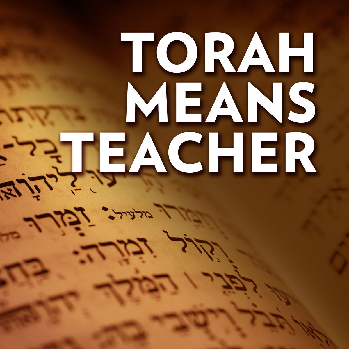Torah Means Teacher: Lessons from the First Five Books of the Bible: Dr ...