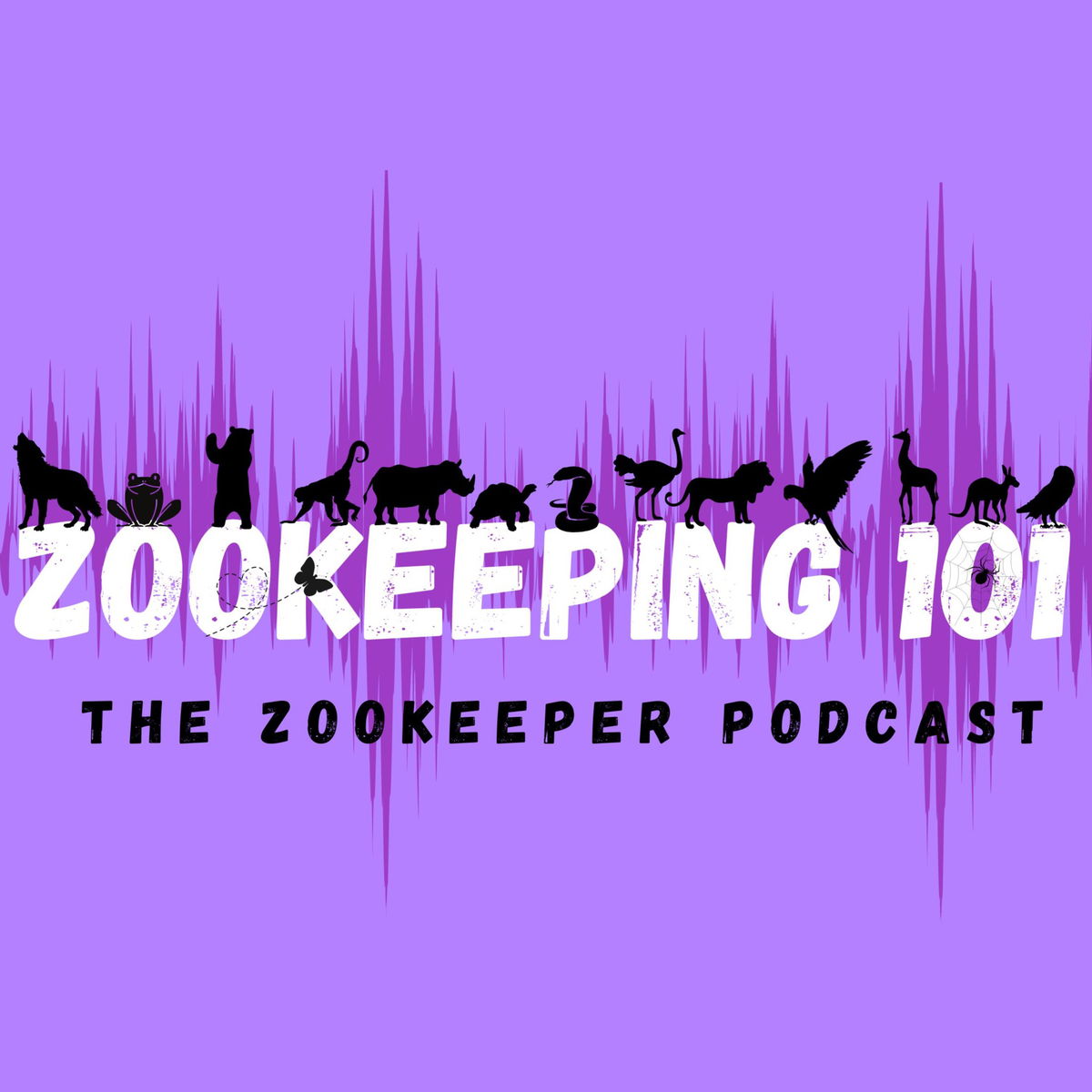 Episode 129: Frankie Bleasdale Partridge : Foxes of the world: Bat Eared Fox. - ZOOKEEPING 101 ...
